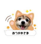 MaSaKo＆Candy☆ | LINEスタンプ | Candy