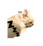 Bamu's sticker | LINEスタンプ | yoshimitsu