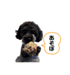 wonwons | LINEスタンプ | rapipi